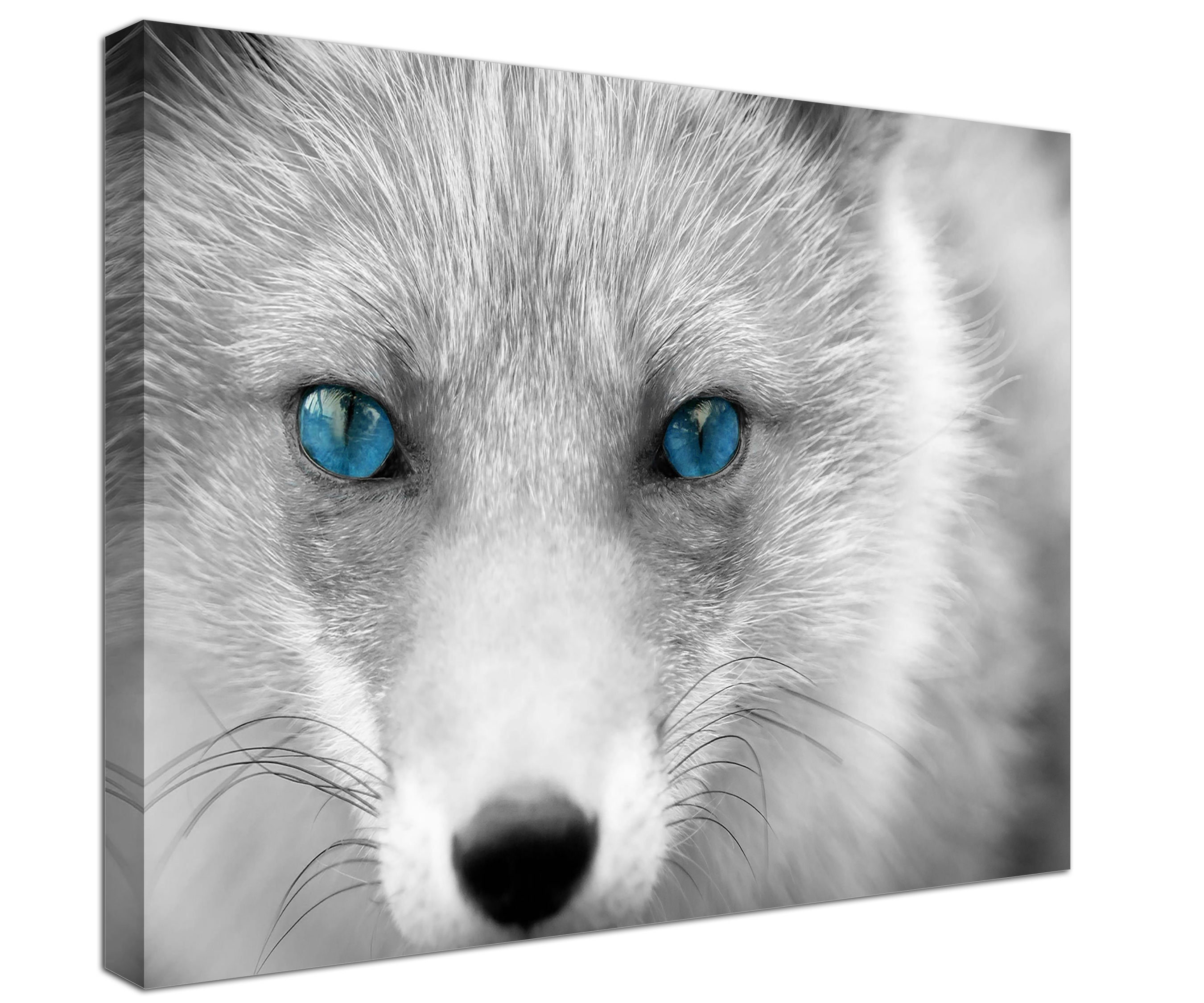 Blue Eyes Fox Canvas Print Fox Wall Art Canvas Print. Fox - Etsy UK