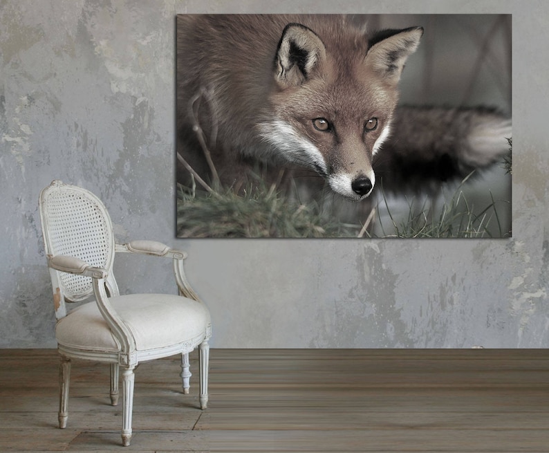 Fox Canvas Print, Fox Wall Art, Canvas Print. Wall Art, Large Canvas ...