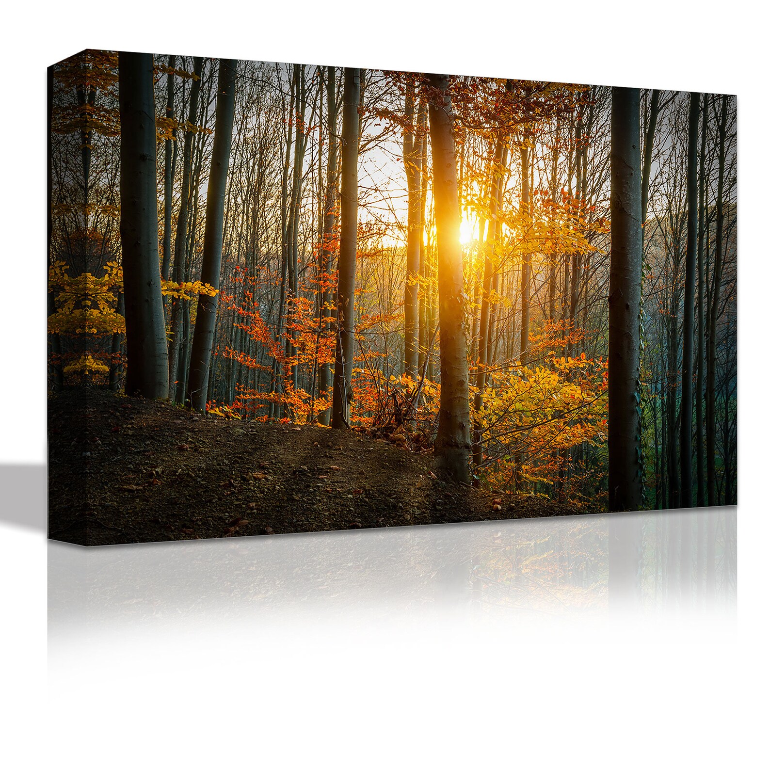 Forest Canvas Autumn Forest Canvas Landscape Canvastree - Etsy