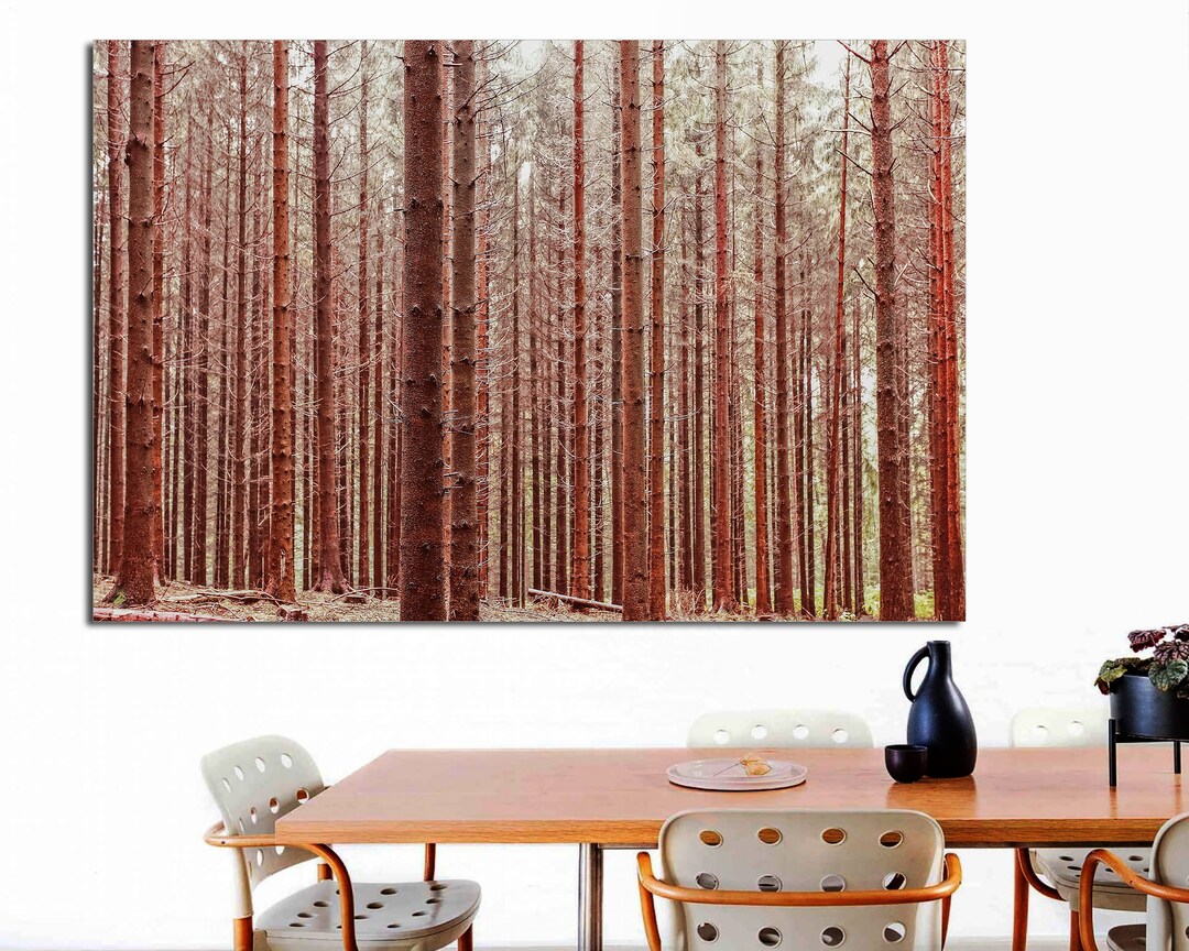 Birch Trees Woods Forest Landscape, Fall Autumn Canvas Art, Forest Wall ...