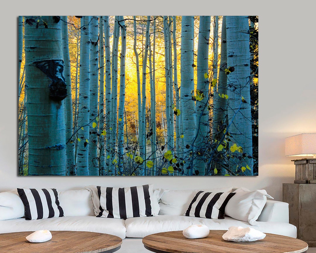 Gorgeous Birch Tree Sunset, Wall Decor Wall Art Print, Forest Canvas ...