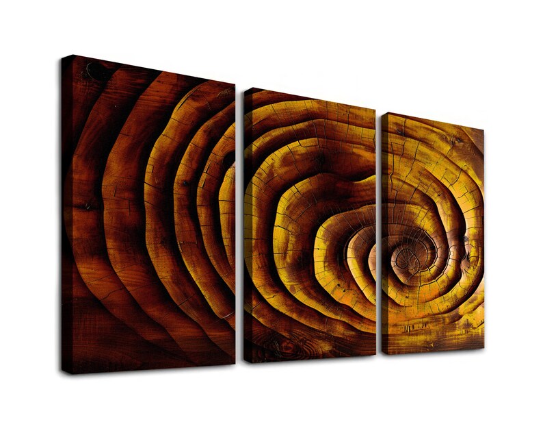 Tree Rings Canvas Print Set – Large 3-panel Wood Texture Wall Art - Etsy