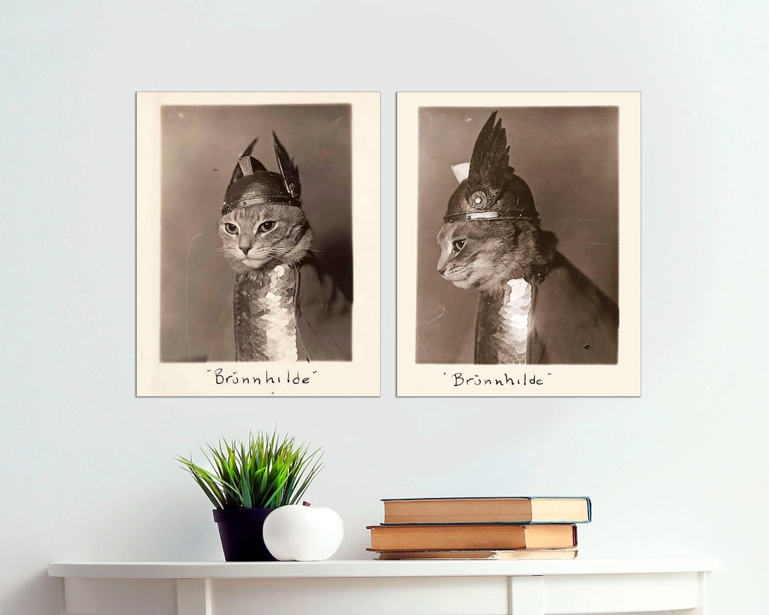 Set of 2 - Valkyrie Brunnhilde Cat Vintage Photo Print, Antique Cat ...