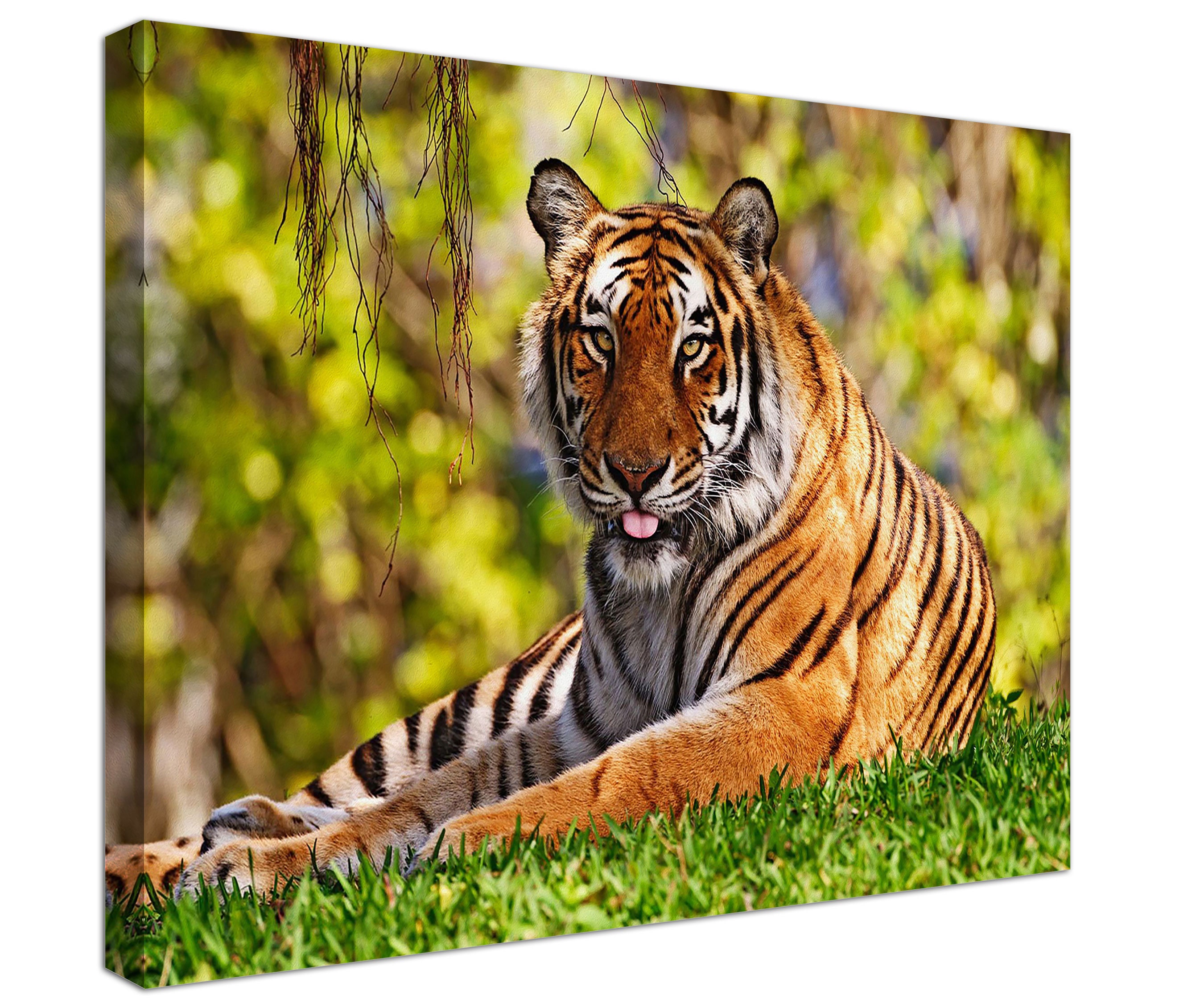 Tiger print wall art print prints on canvas The face of a | Etsy