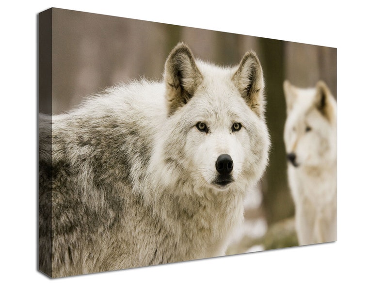 Wolf Canvas Print, Wolf Wall Art, Canvas Print. Wall Art, Nature Wolf ...