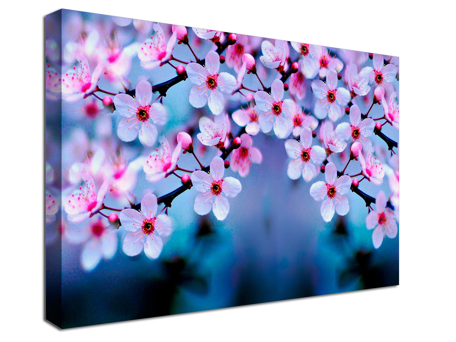 Pink Flowers Blooming Tree at Spring Canvas Print Home | Etsy