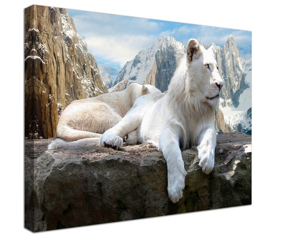 White Snow Lion
