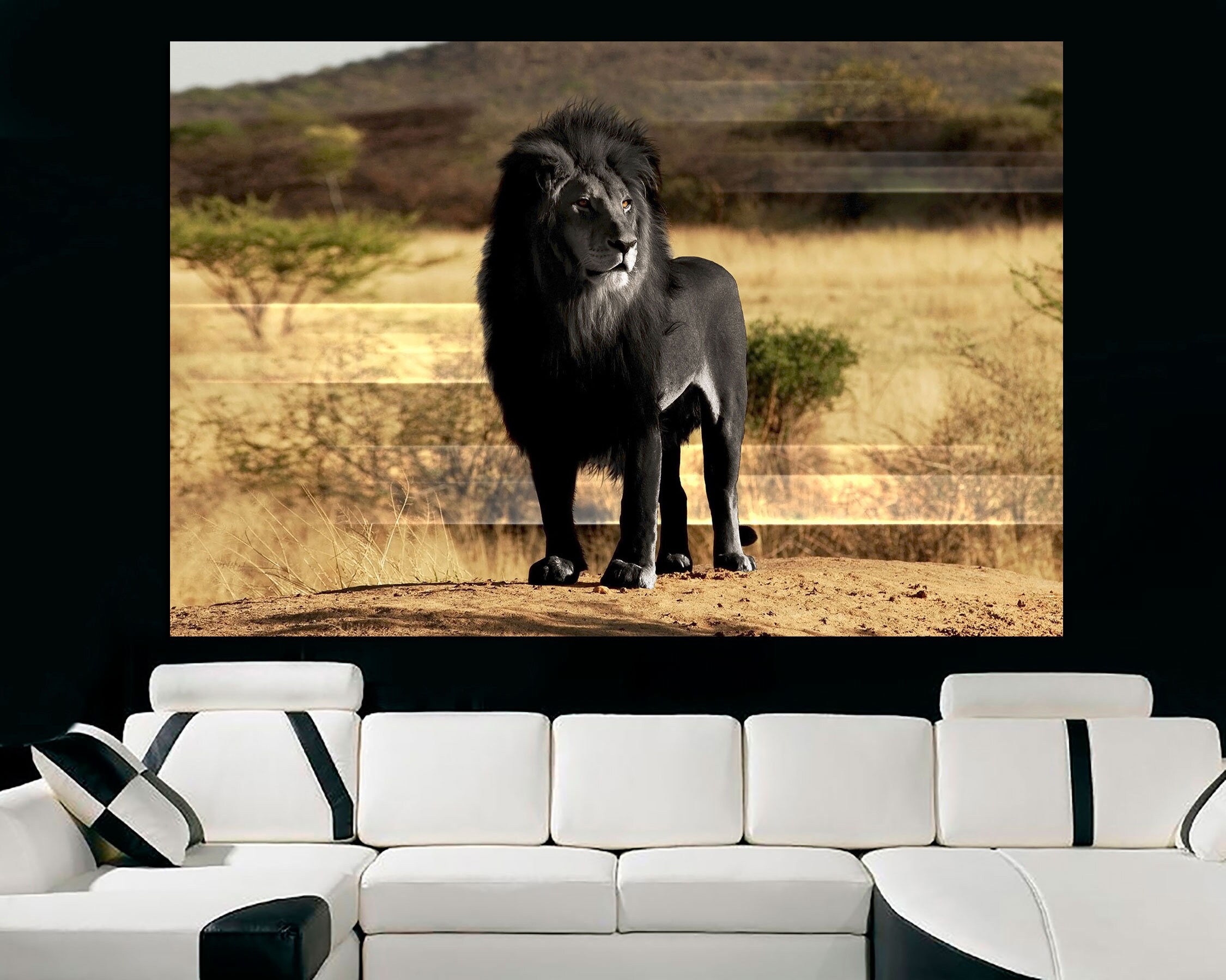 Rare Black Lion