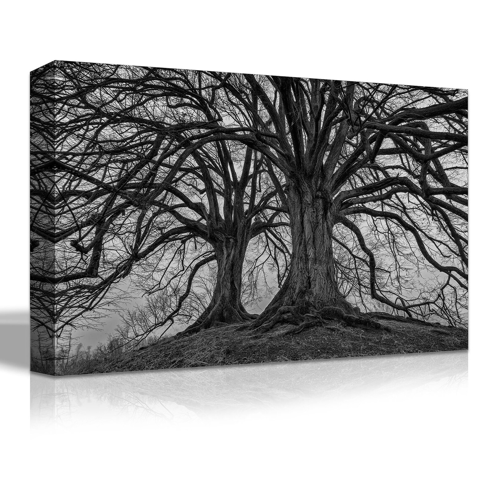 Old Forest Tree Branches Canvas Print Forest on Canvas | Etsy