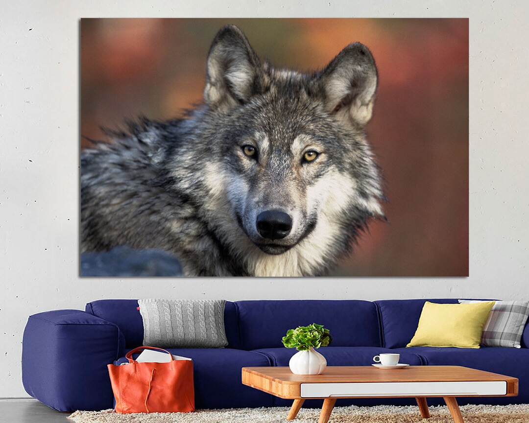 Grey Wolf Canvas Print, Wolf Wall Art, Canvas Print. Wall Art, Black ...