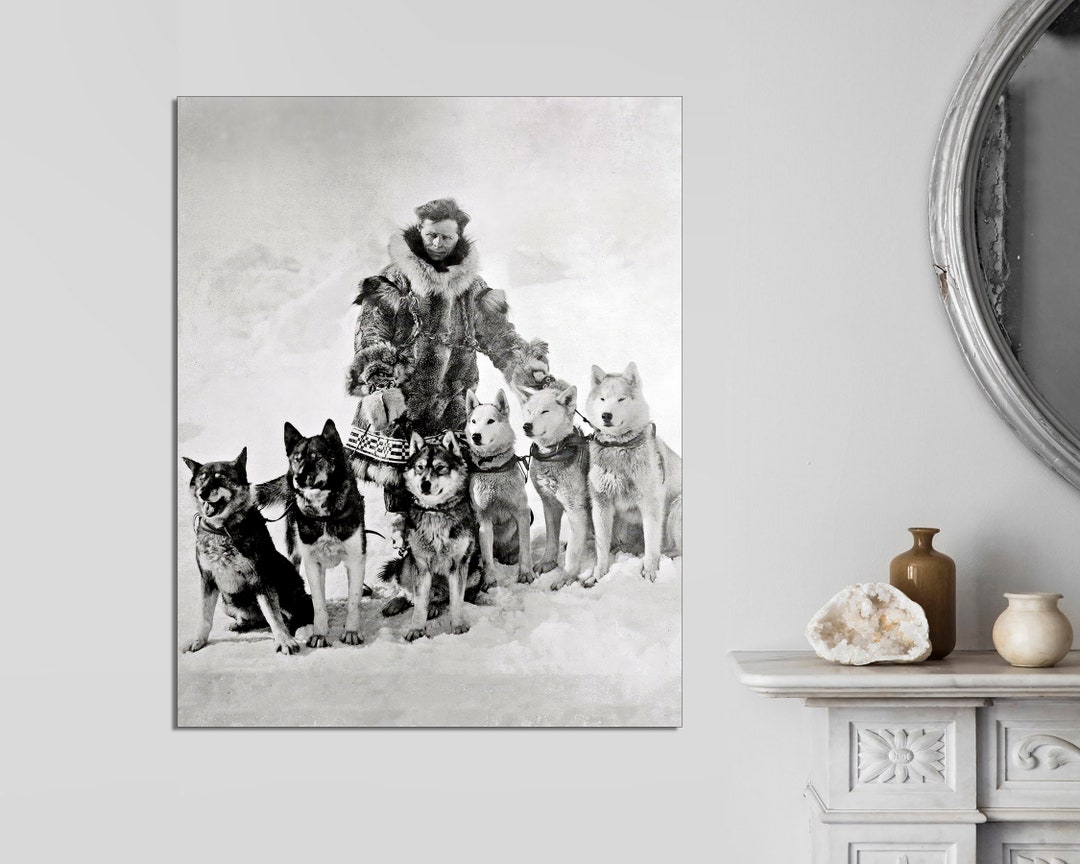 Balto Siberian Husky Dogs, Togo Leonhard Seppala With Dogs, Canvas Wall ...