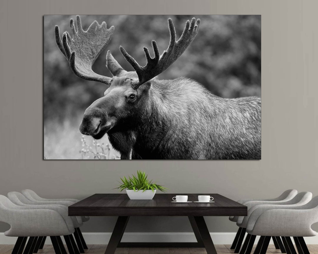 Black and White Moose Portrait Canvas Print, Ready to Hang, Moose Photo ...