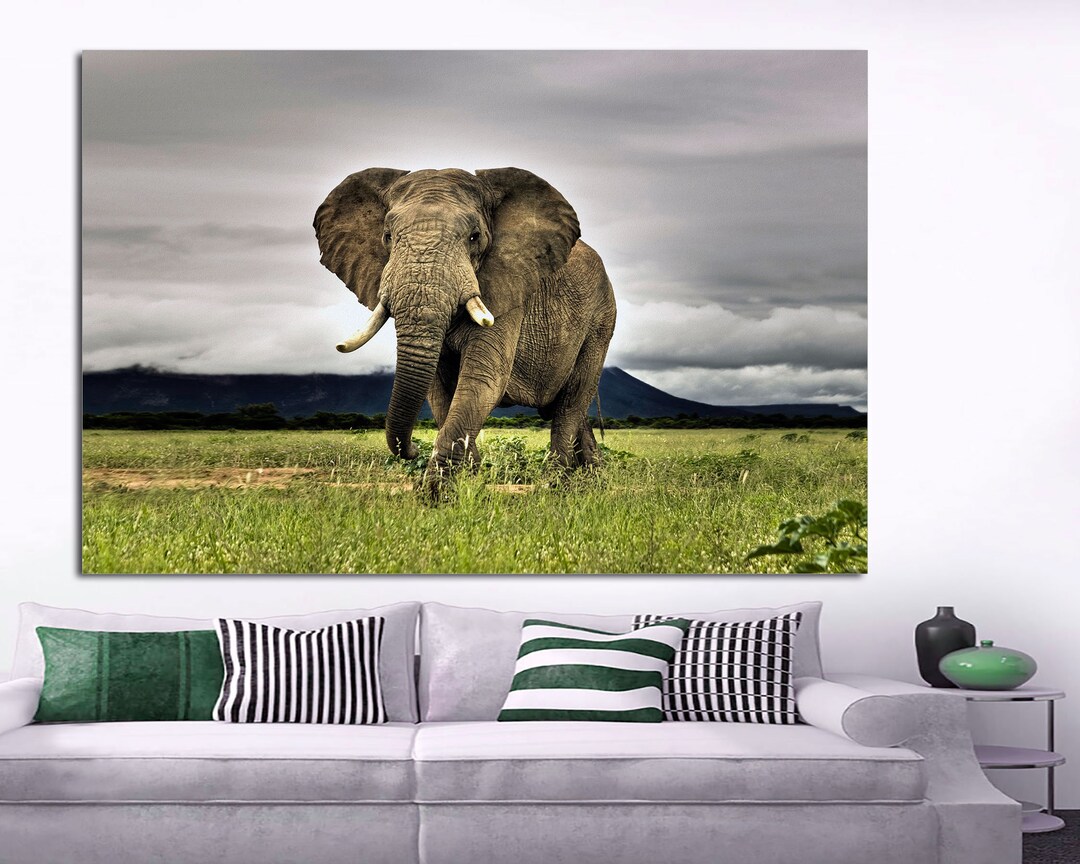 African Elephant Canvas Print, Large Wall Art - Etsy
