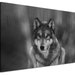Grey Wolf Canvas Print Wolf Wall Art Canvas Print. Wall Art - Etsy