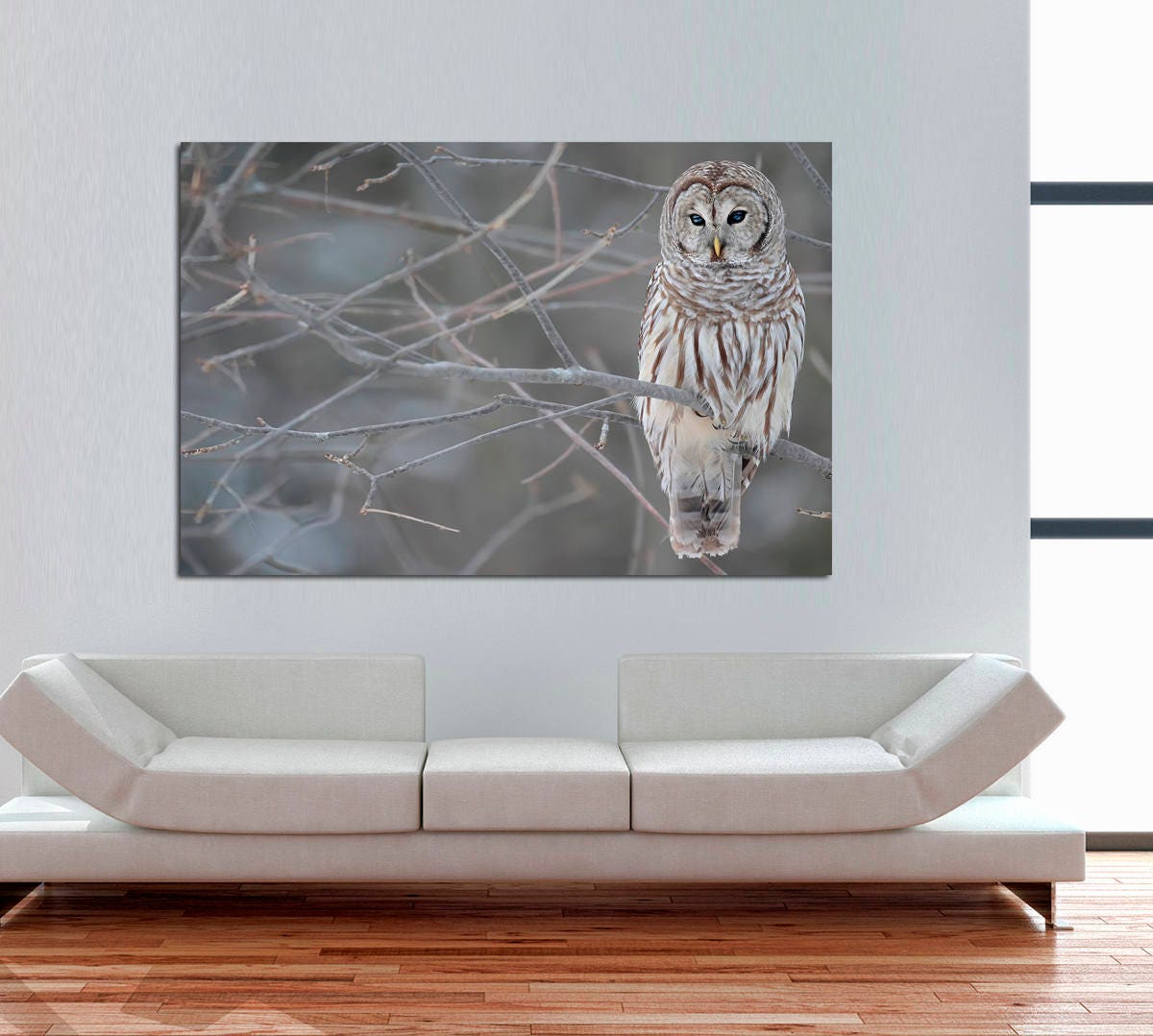 Barred Owl Canvas Print, Black and White Bird Wall Art - Etsy