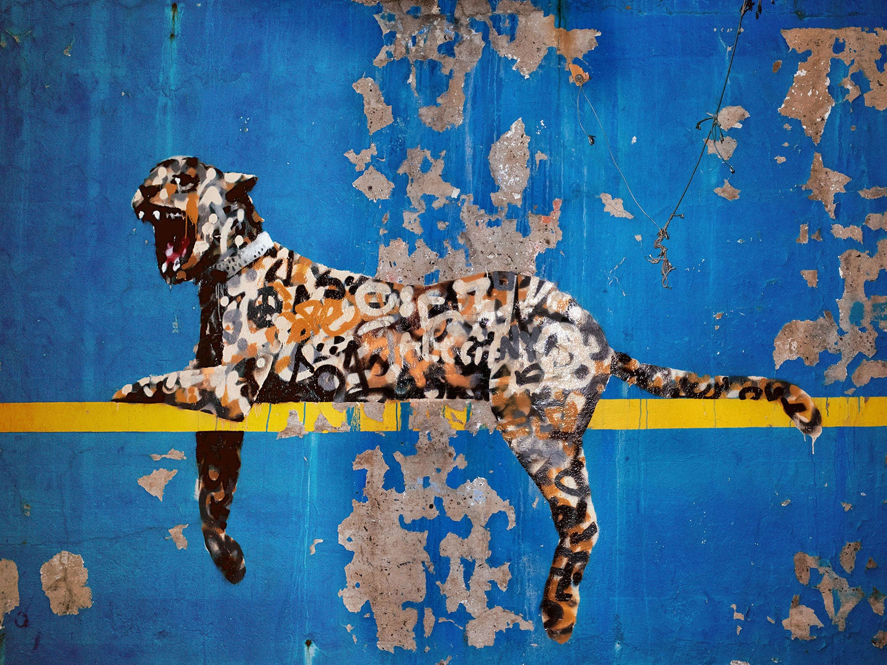 Banksy Yankee Stadium Tiger Canvas Wall Street Art Print - Etsy