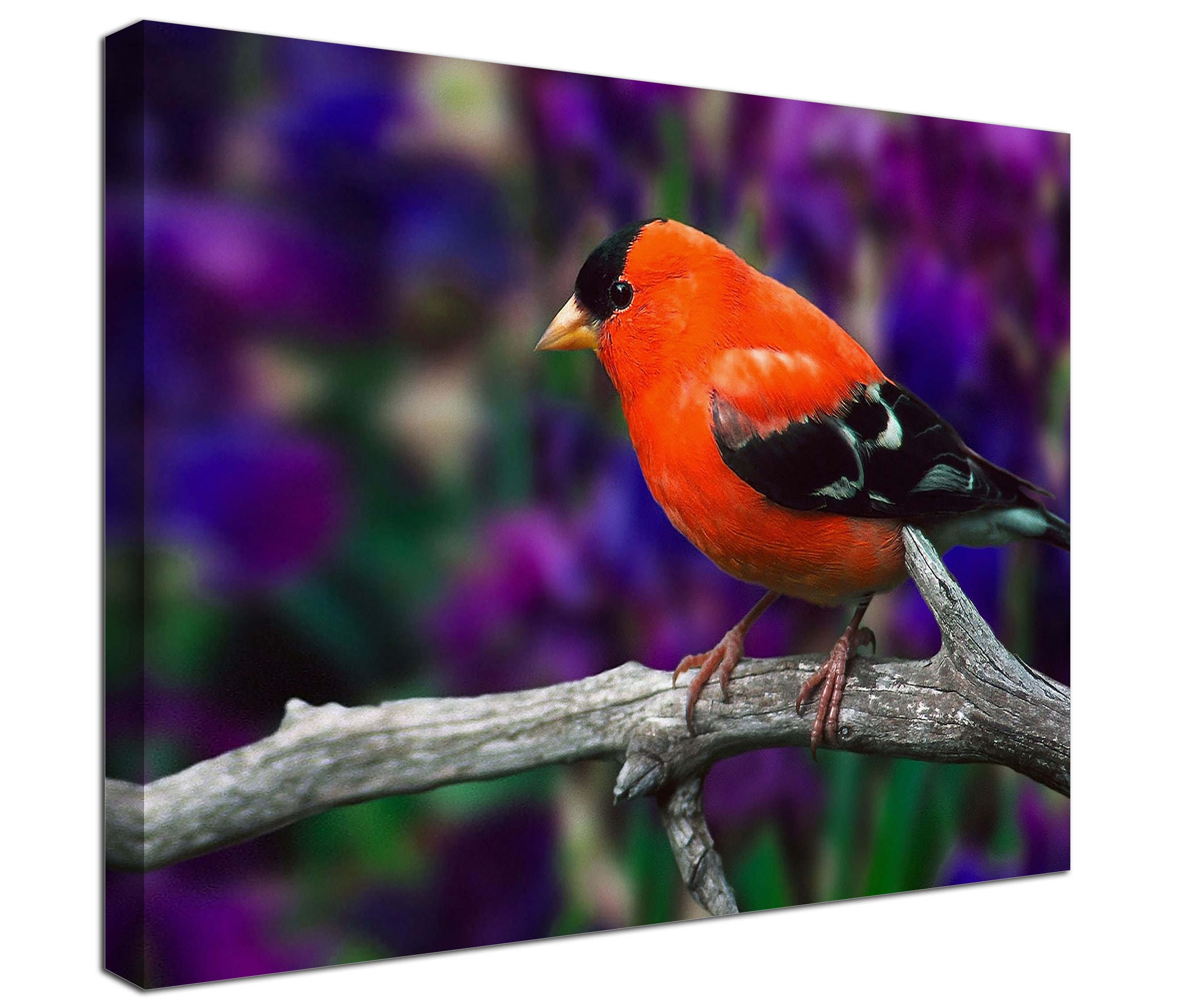 Beautiful Red Bird Canvas Printcanvas Print Red Bird Wall - Etsy