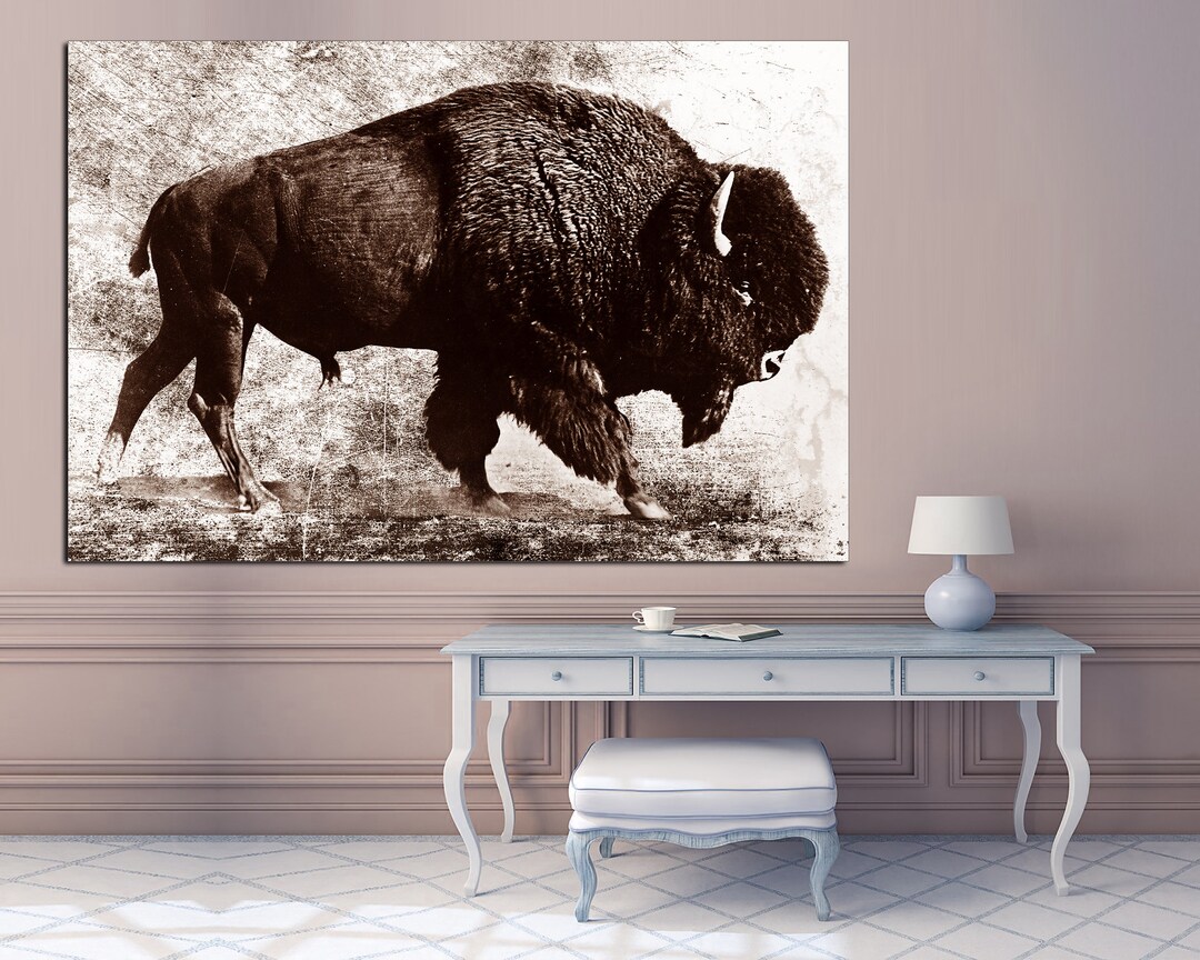 Bison Canvas Print, Black and White Wall Art, Ready to Hang - Etsy