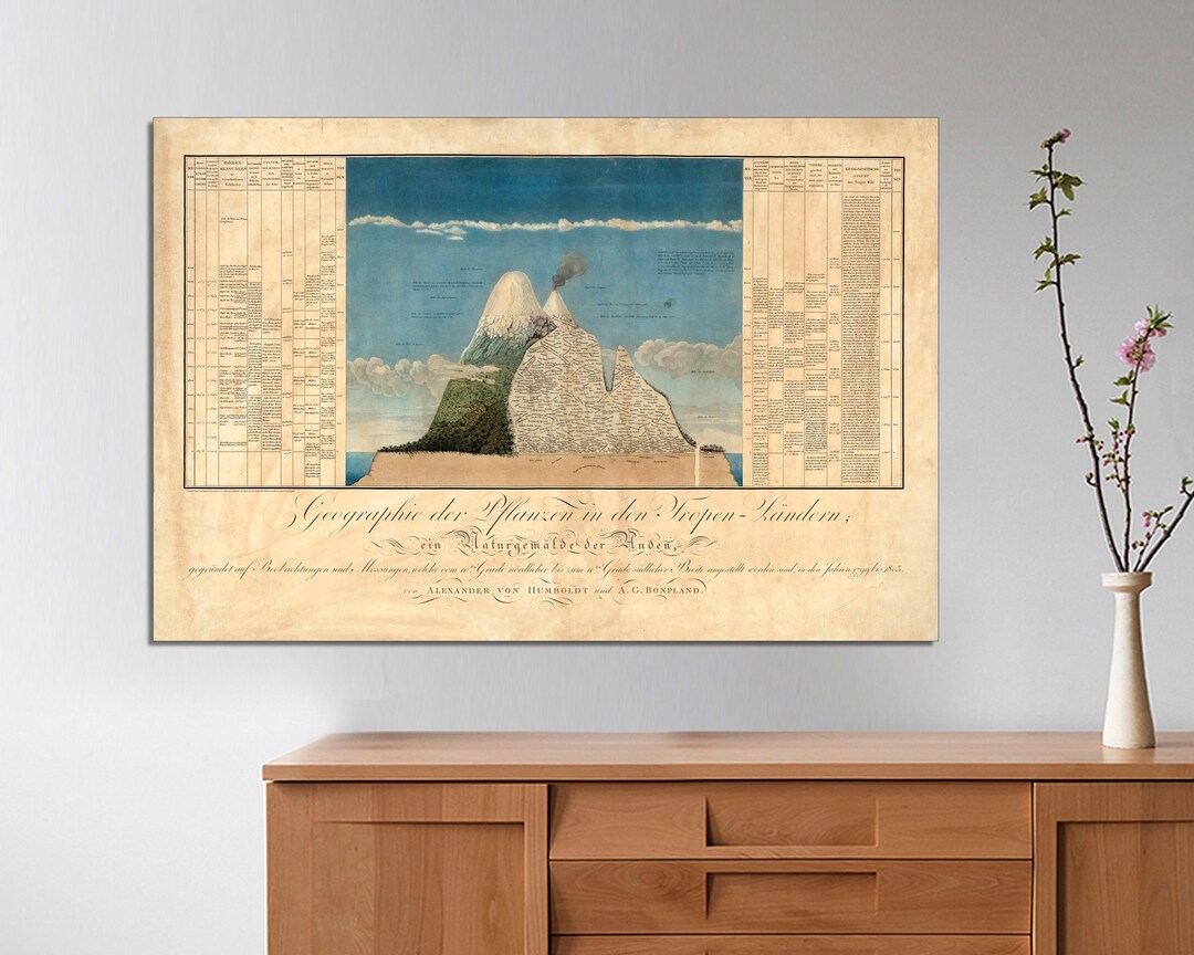 CANVAS Print Ready to Hang, the Geography of Plants Alexander Von ...