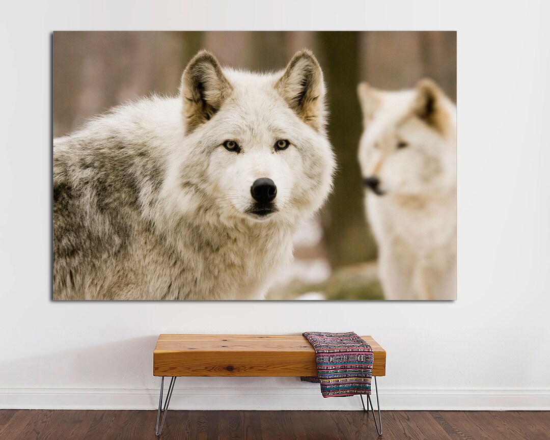 Wolf Canvas Print, Wolf Wall Art, Canvas Print. Wall Art, Nature Wolf ...