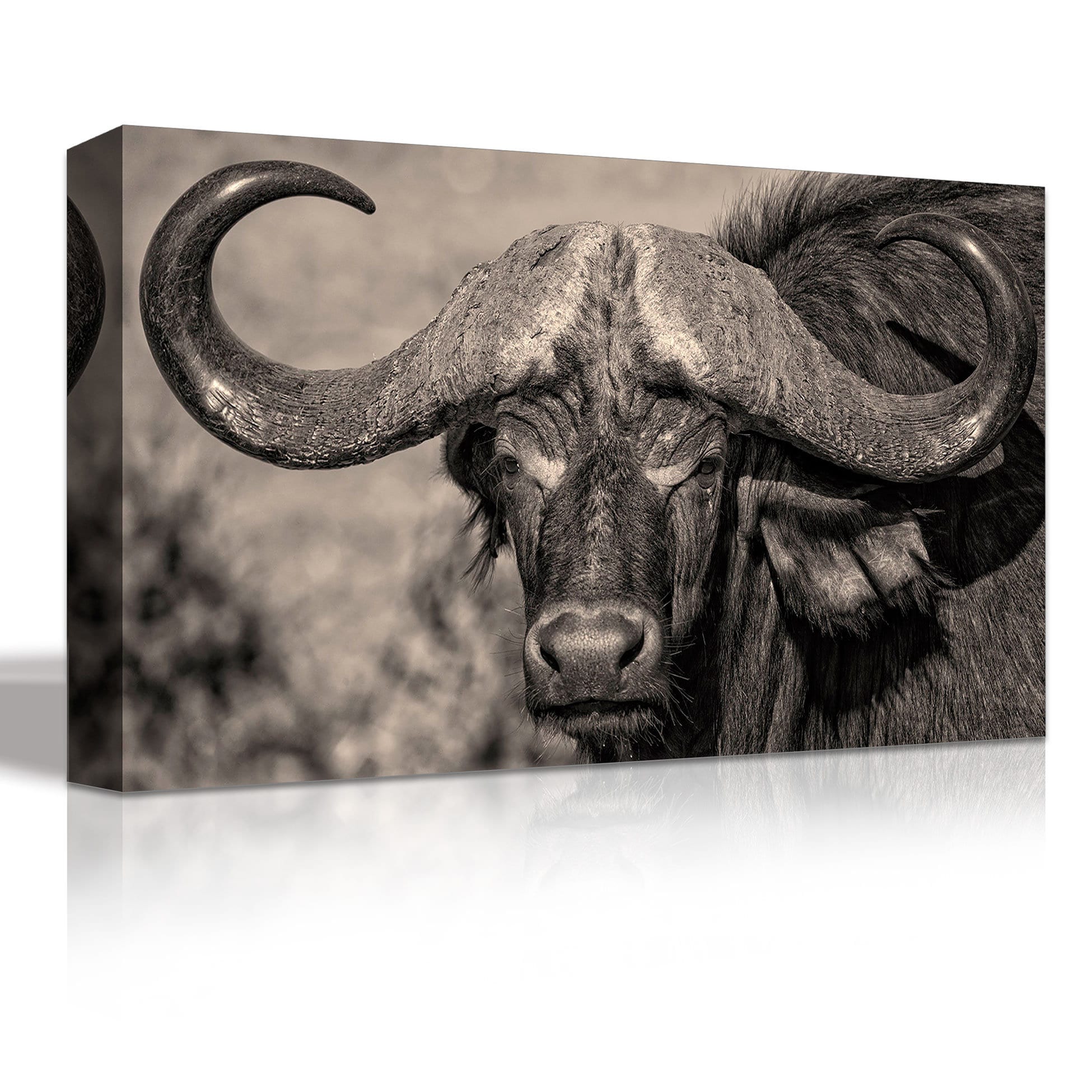 Bull Large Canvas Art Bull Art Decor Wall Art Print Black and - Etsy UK