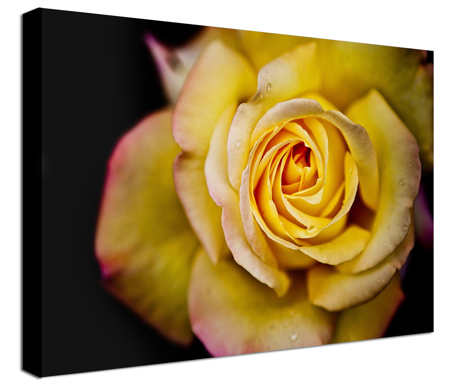 Yellow rose Canvas Print yellow rose Home Decor rose wall | Etsy
