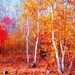 Red Fall Forest Canvas Art, Autumn Wall Decor, Autumn Canvas Print ...