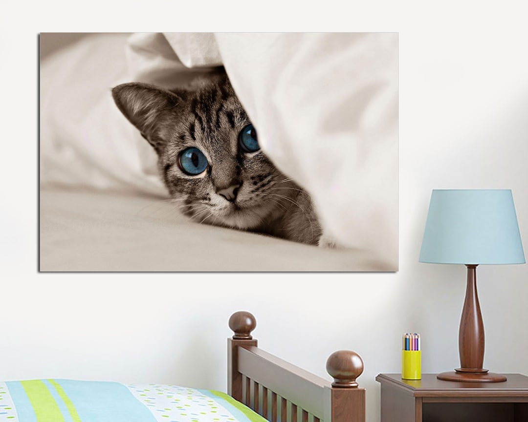 Cute Little Cat Canvas Poster, Kitten, Cat Blue Eyes, Canvas Print ...