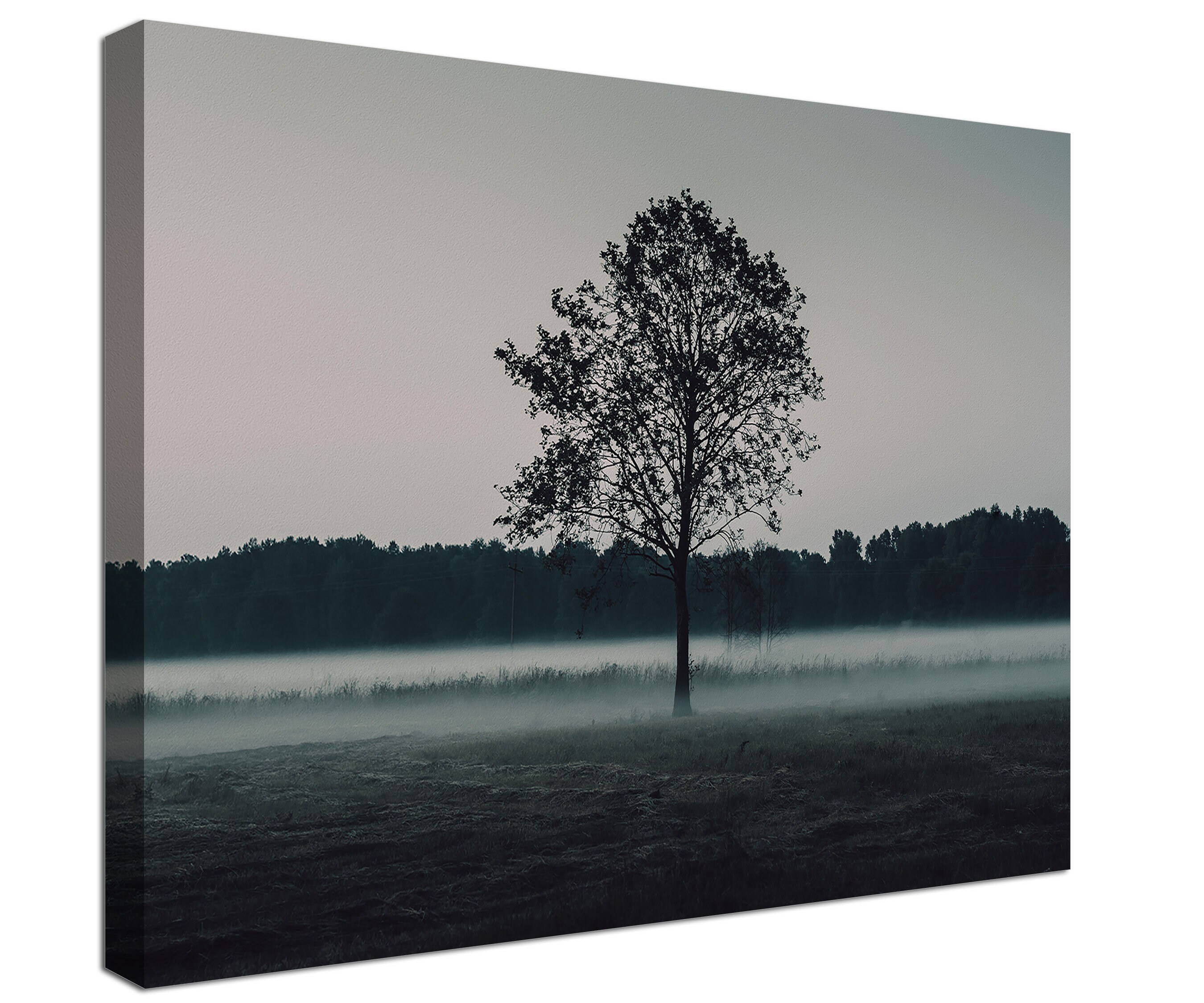 Lonely Tree Branches Print on Canvas Interior Design Room | Etsy