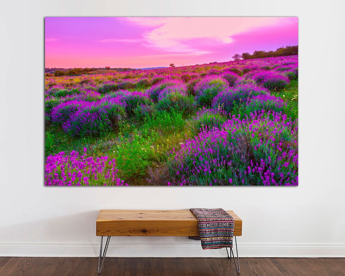 Lavender Field at Sunset Canvas Print Lavender Canvas Print. - Etsy