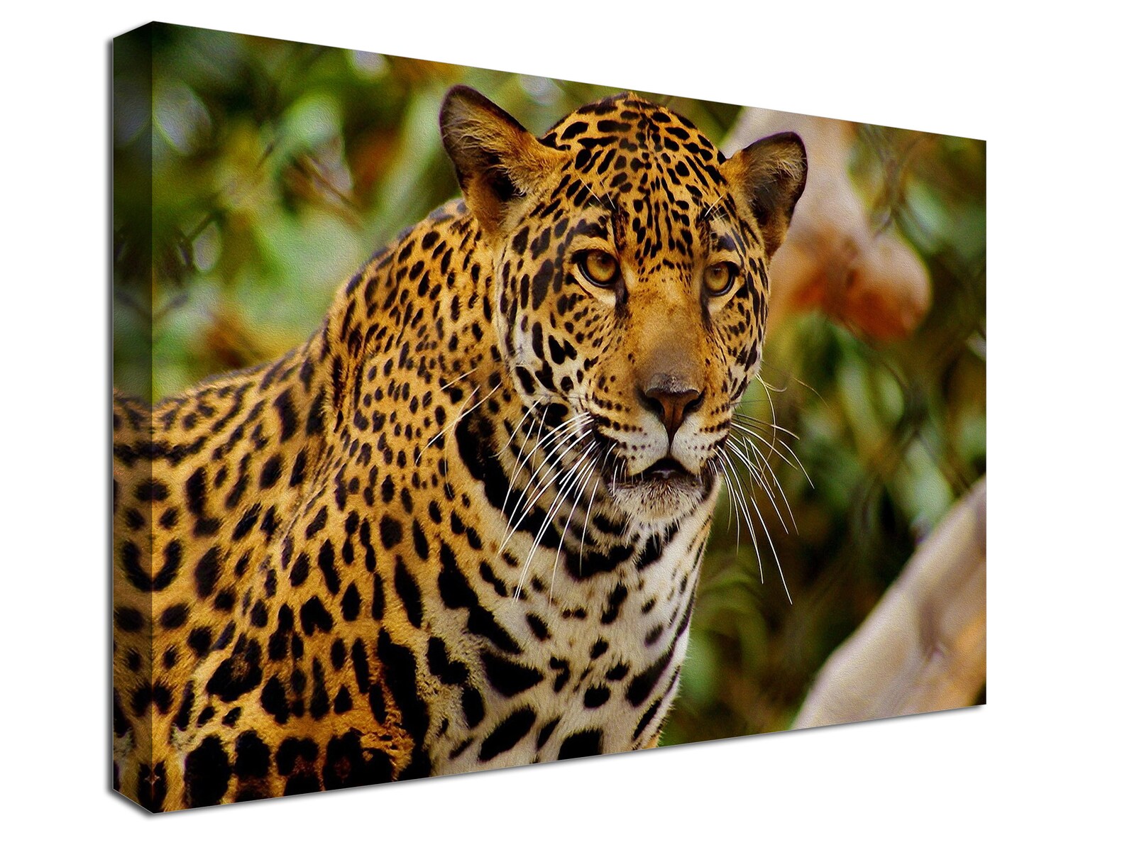 Leopard Canvas Print Leopard Print on Canvas Leopard Wall - Etsy