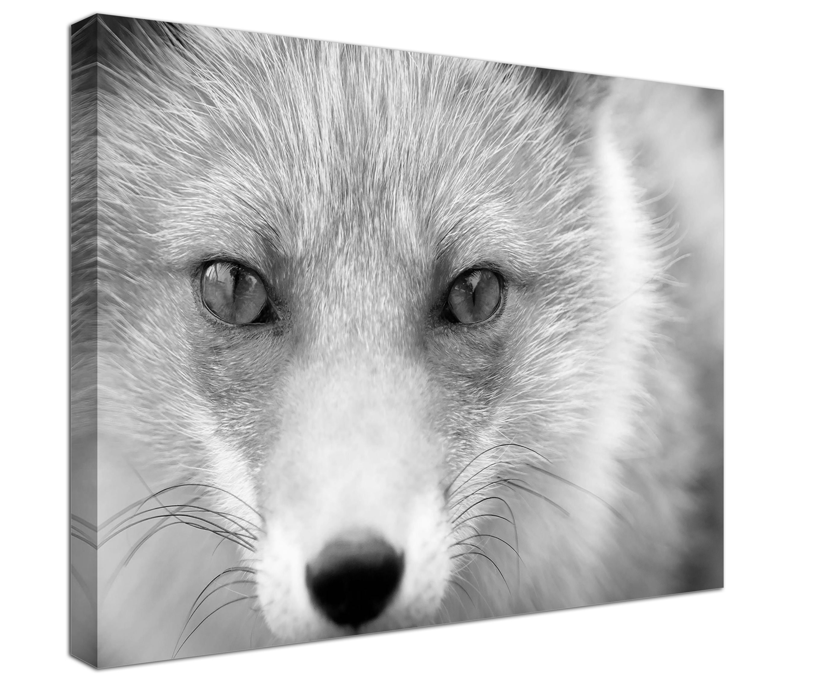 Black and White Fox Canvas Print, Fox Wall Art, Canvas Print. Fox Wall ...