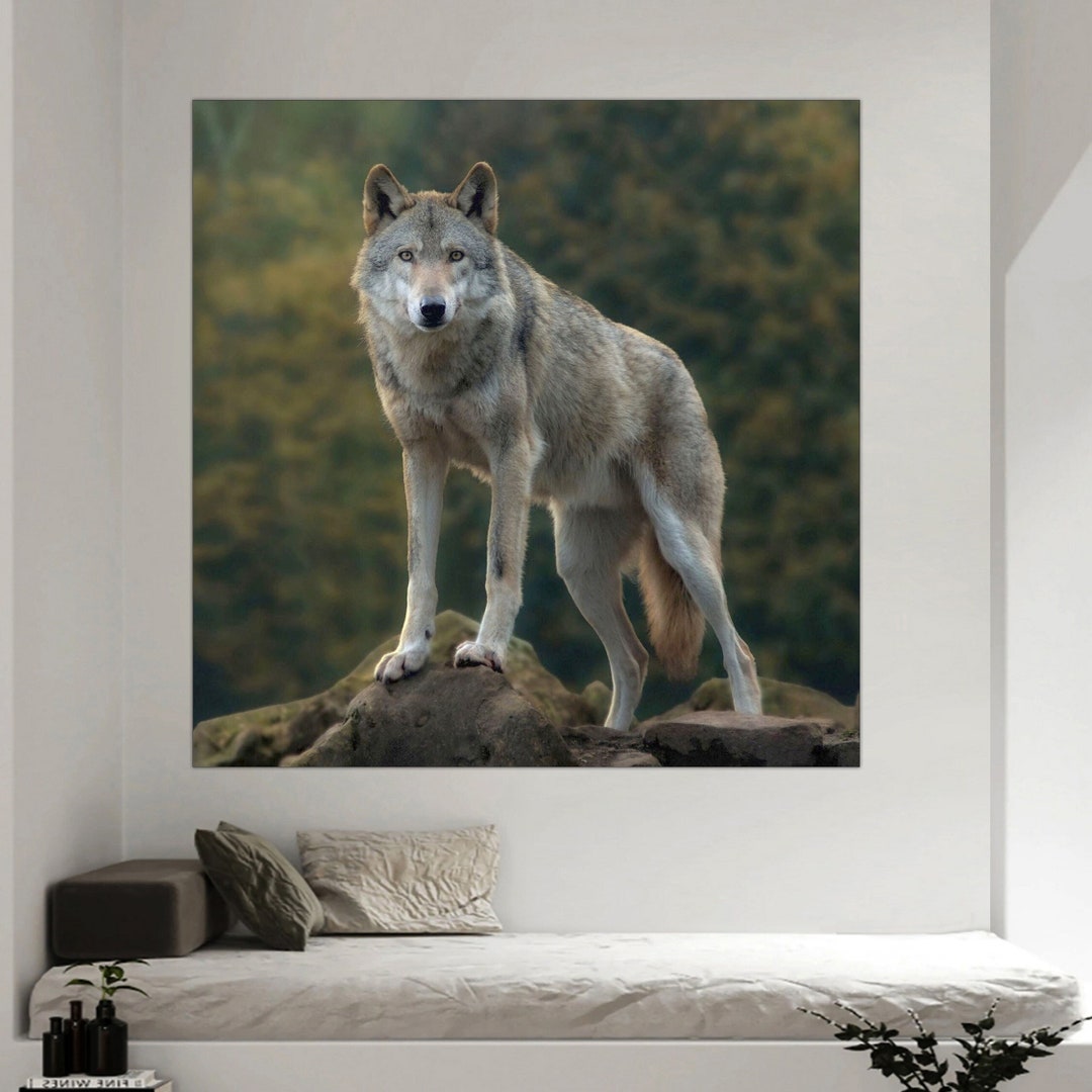 Wolf Wall Art Wolf Wall Decor Wolf Large Wall Art Wolf Large Wall Decor ...
