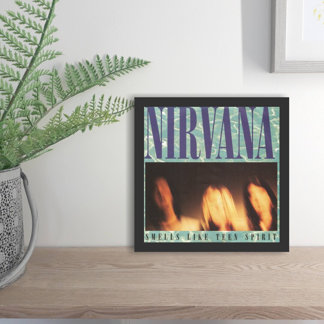 NIRVANA & Red Hot Chili Peppers Original Vinyl Record Covers Framed ...