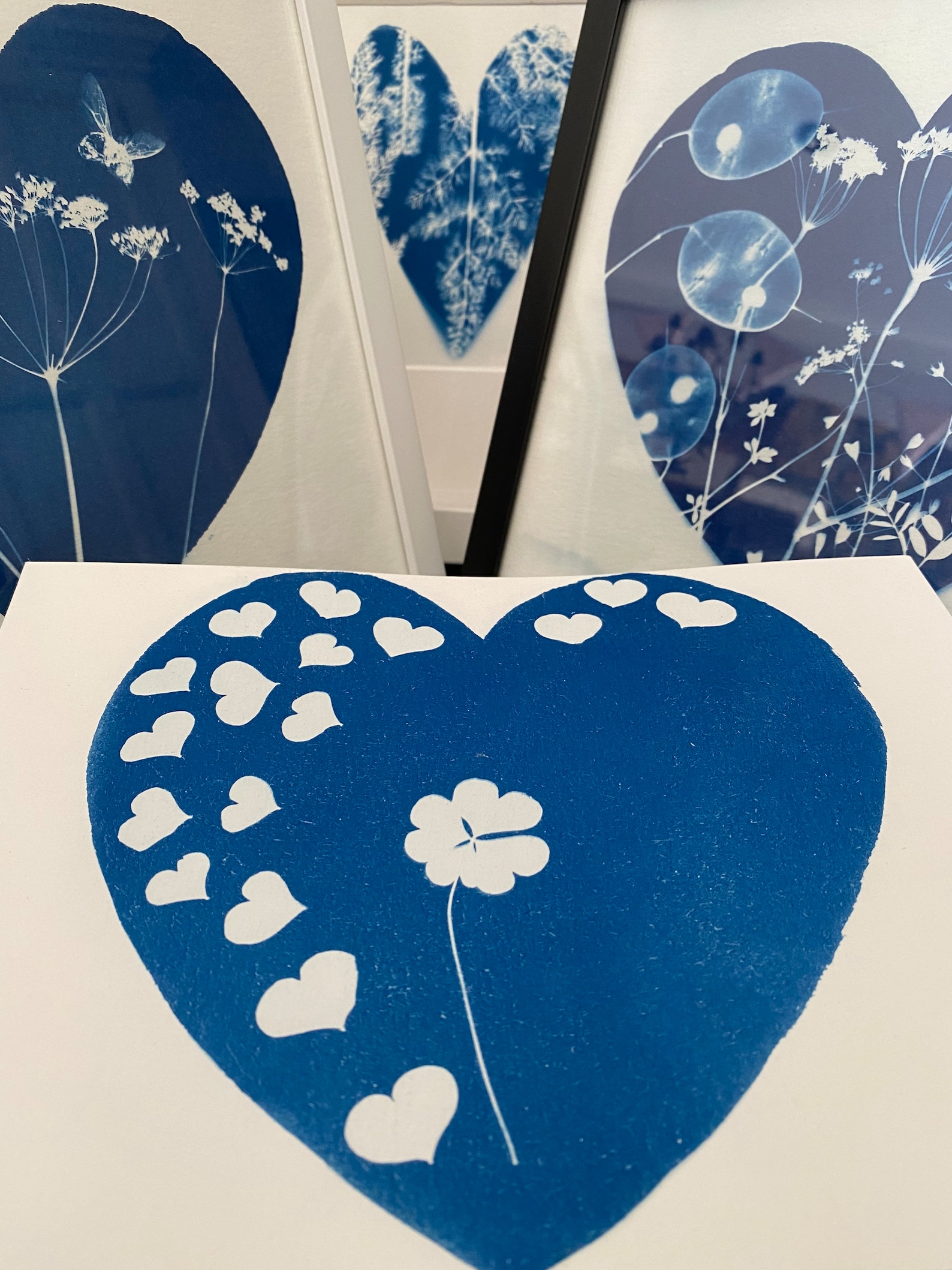 Cyanotype Discovery Kit Children Adult DIY Easy Sun Kit - Etsy