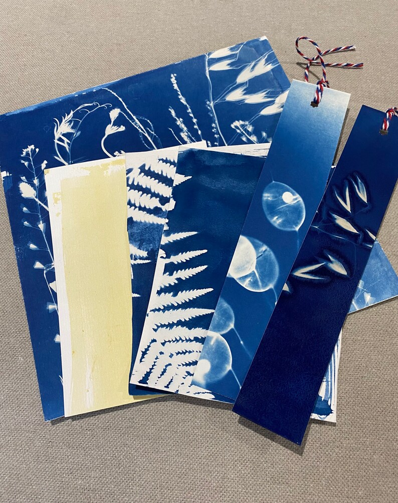 Cyanotype Discovery Kit Children Adult DIY Easy Sun Kit - Etsy