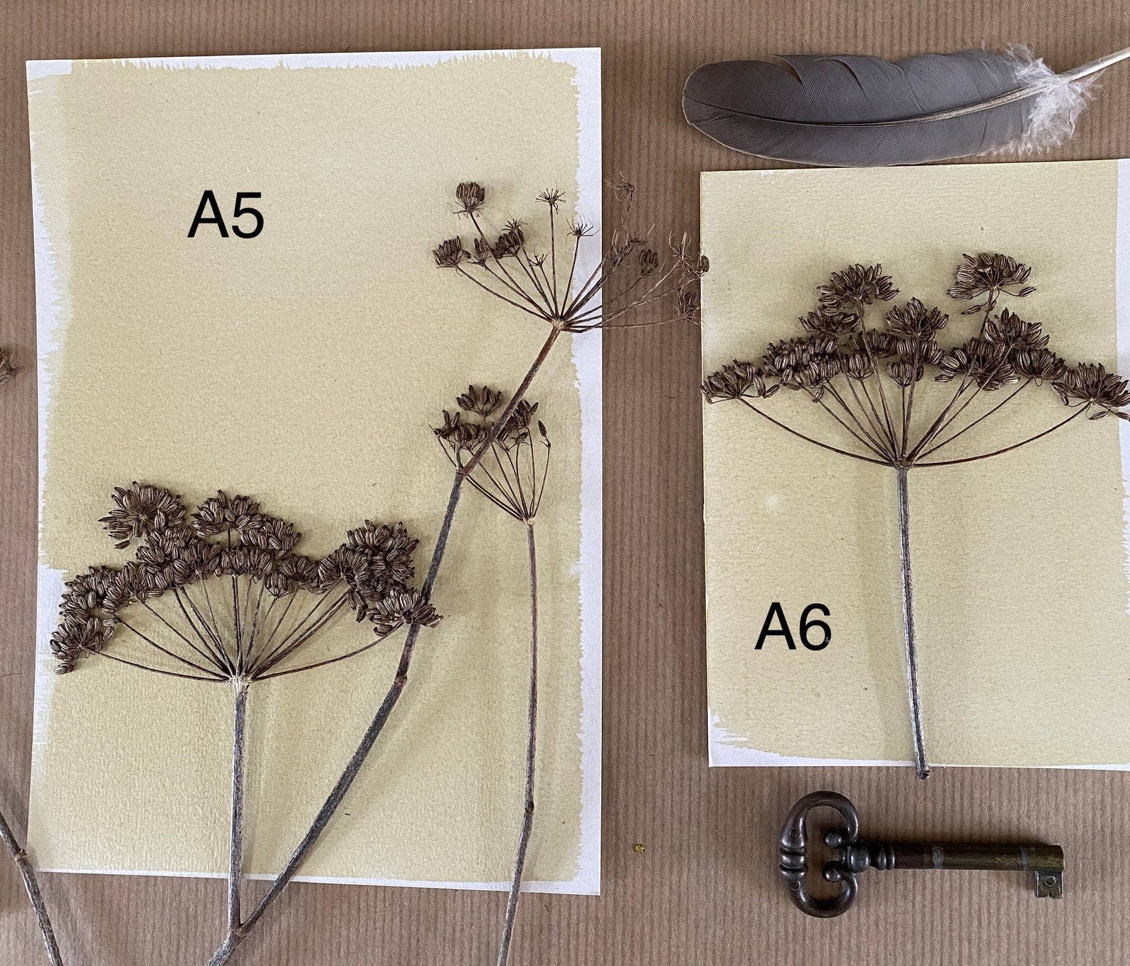 Cyanotype Discovery Kit Children Adult DIY Easy Sun Kit - Etsy