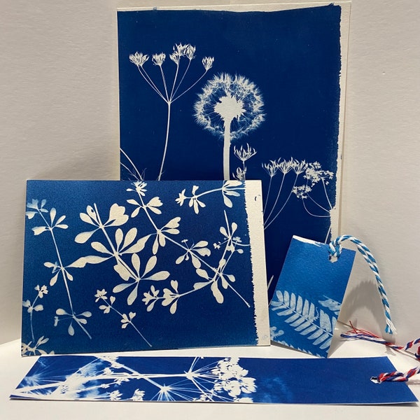 Cyanotype Kit - Etsy UK