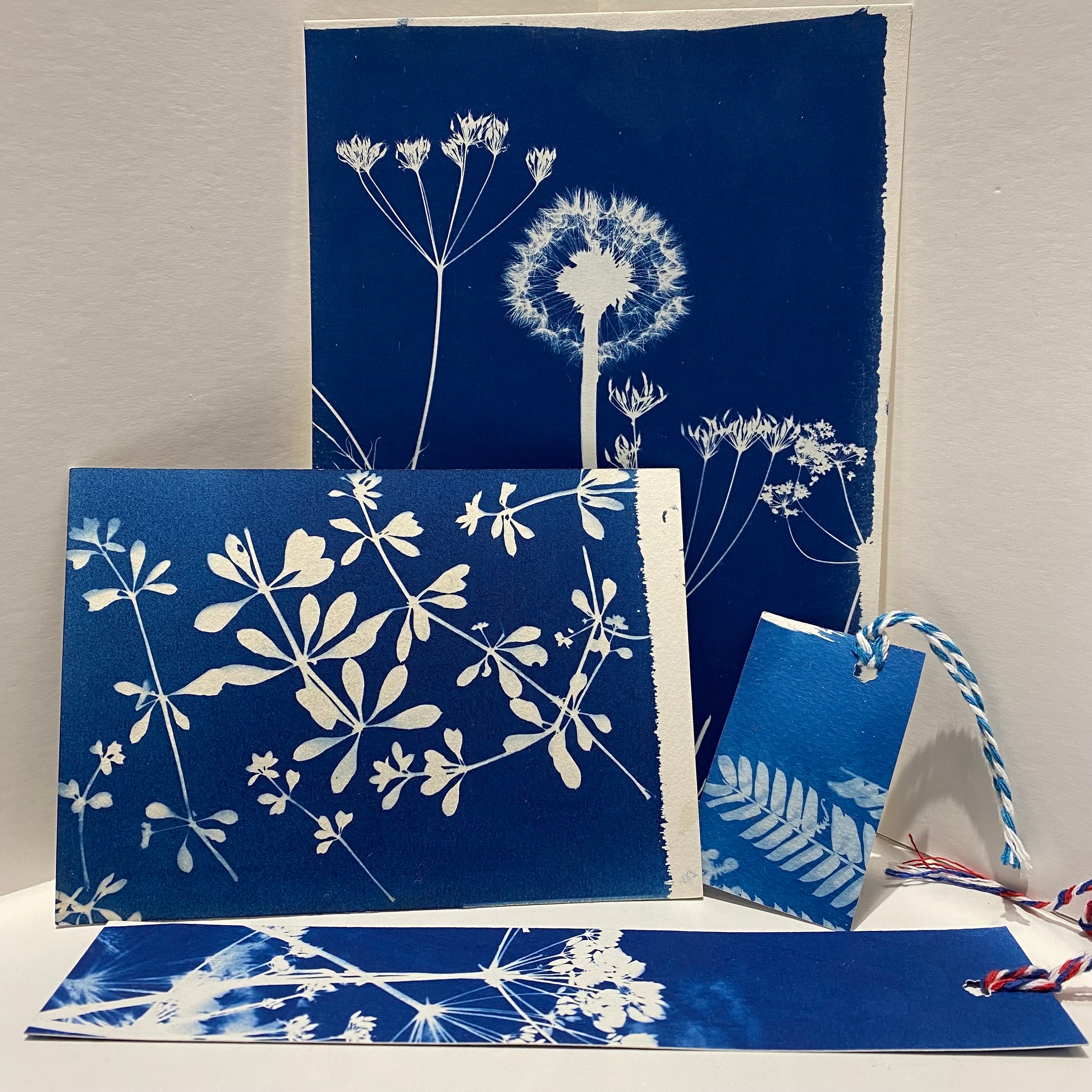 Cyanotype Discovery Kit Children Adult DIY Easy Sun Kit - Etsy