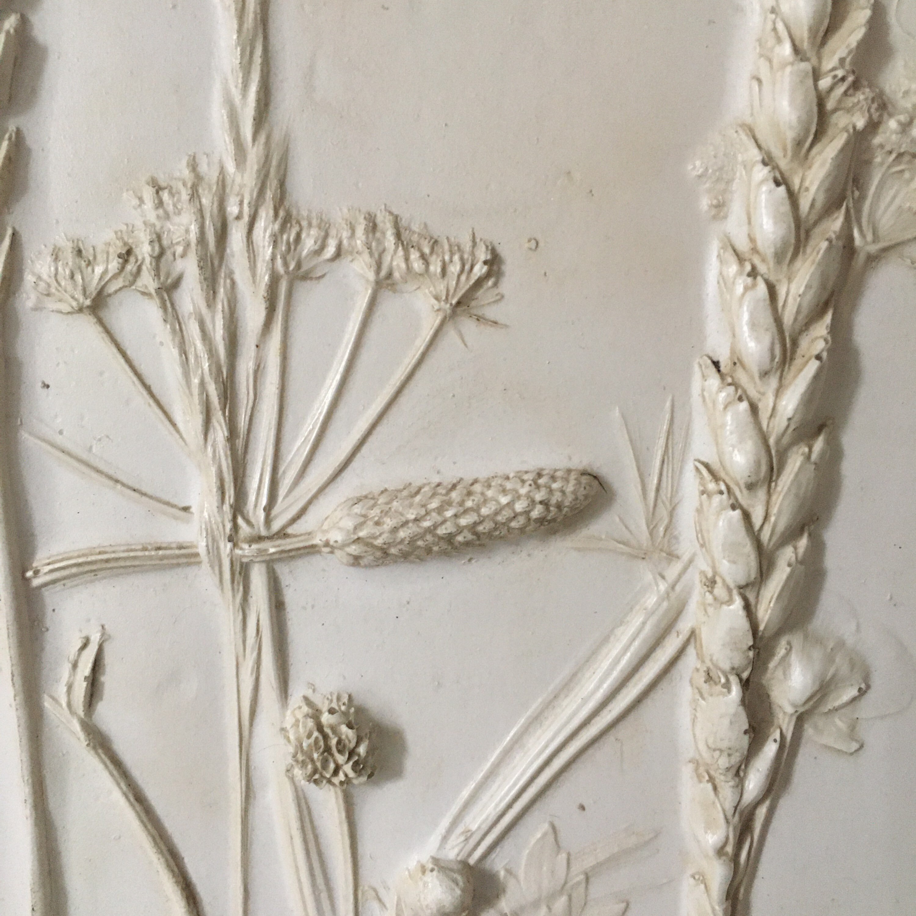 Exclusive Online Botanical Bas Relief Course | Etsy