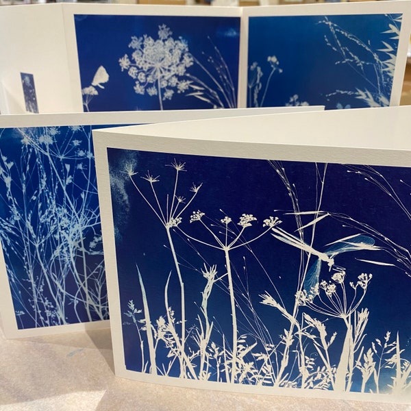 Cyanotype Cards - Etsy UK