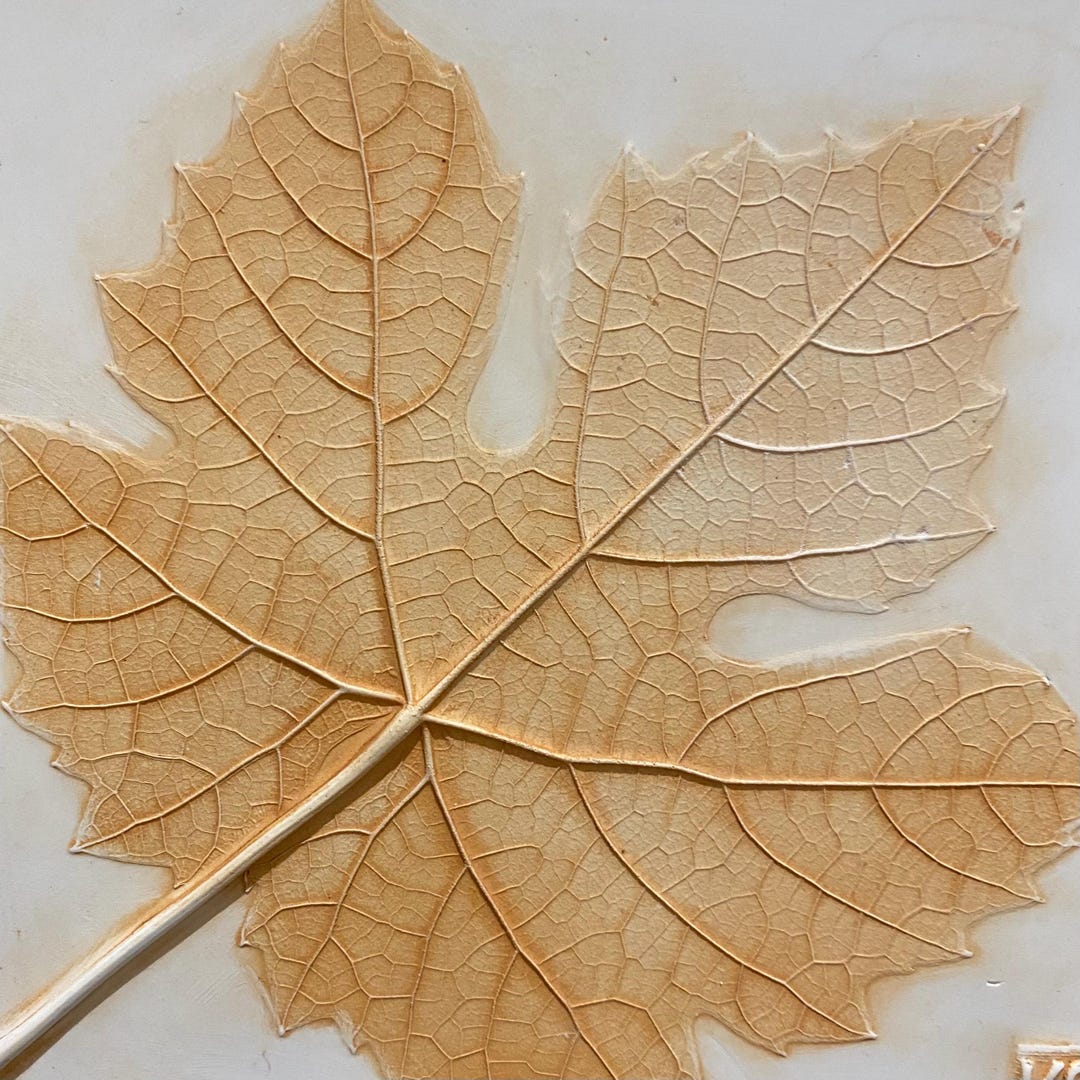 Grape Vine Leaf, Botanical Bas Relief Wall Art, Plaster Art for Her ...