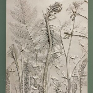 Exclusive Online Botanical Bas Relief Course - Etsy