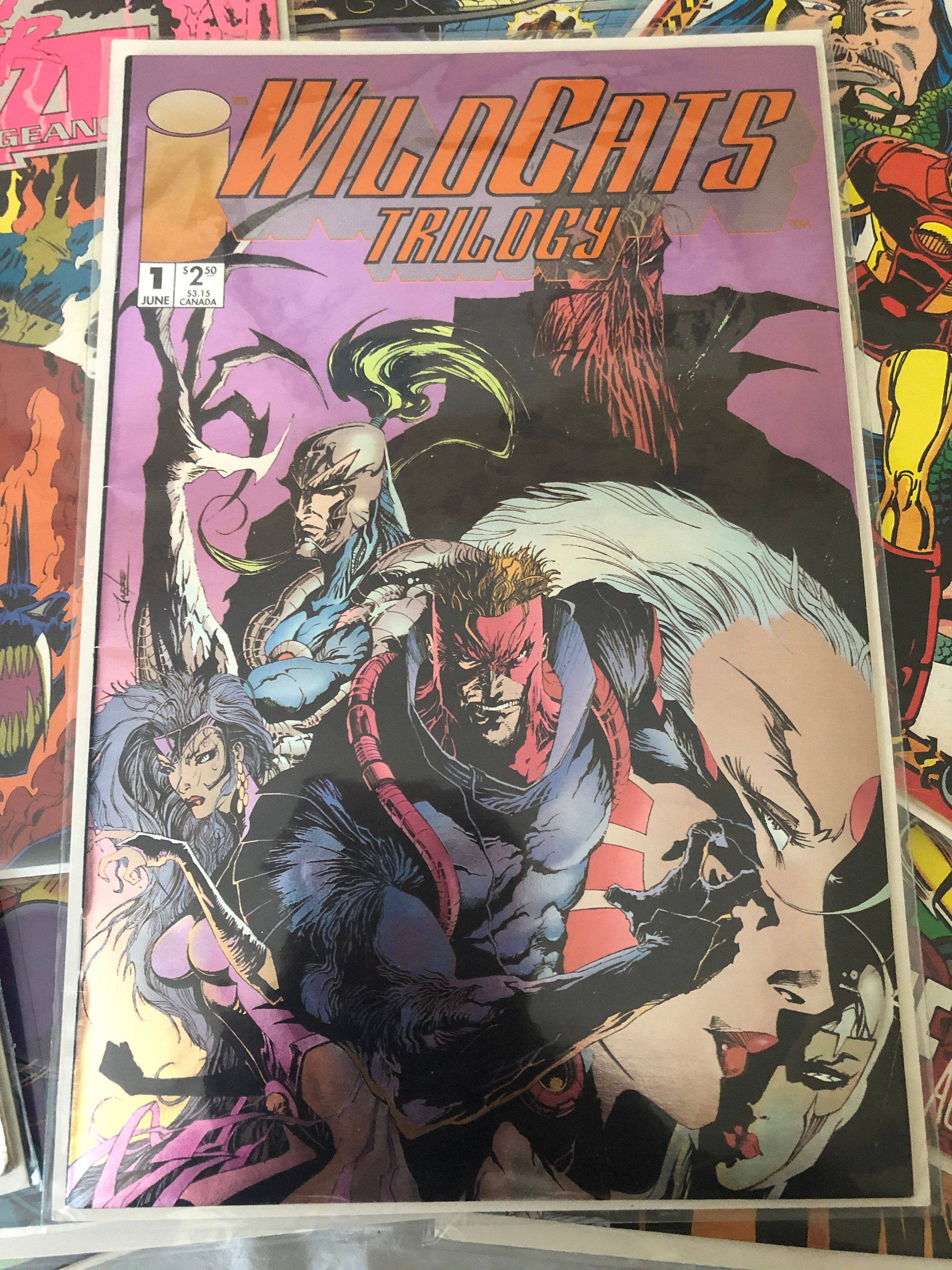Wildcats Trilogy Comic Book - Etsy