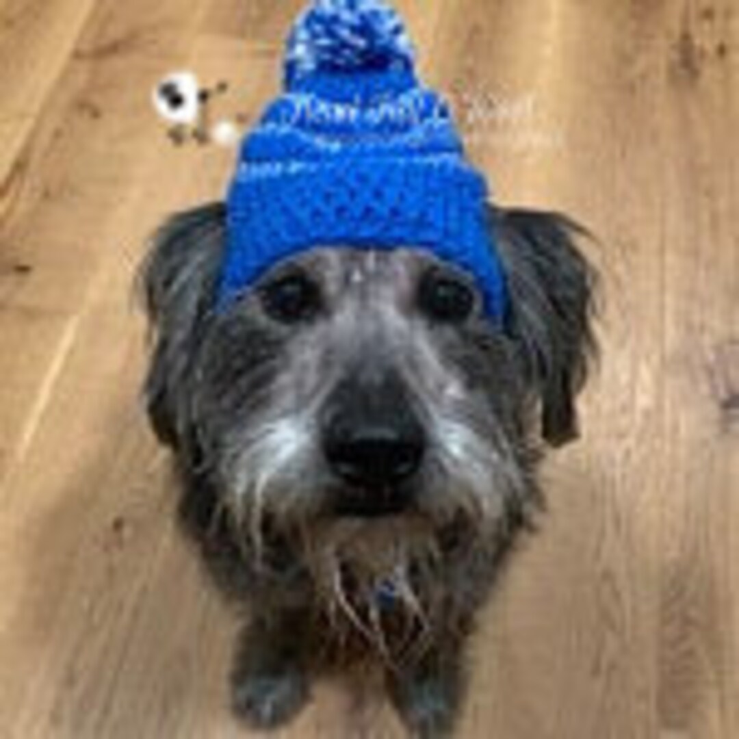 Dog Hat, Dog Hat With Earflaps, Custom, Dog Hat With Ties, Winter Hat ...