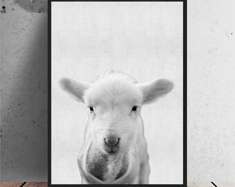 Sheep poster | Etsy