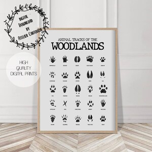 Woodland Animal Tracks, Animal Footprint, Woodland Animal Poster, Boy ...