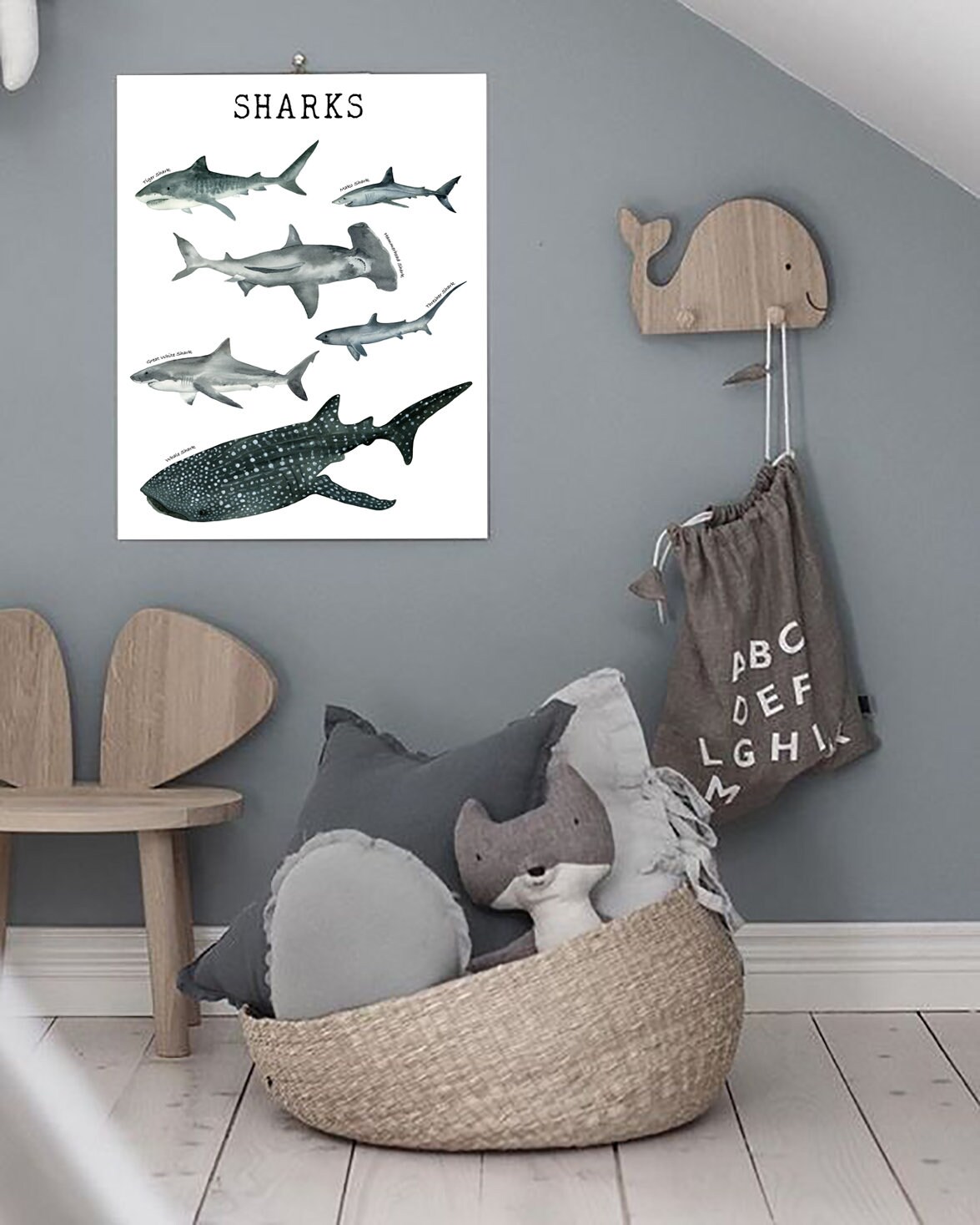 Shark Poster Educational Print Watercolor Illustration - Etsy Canada