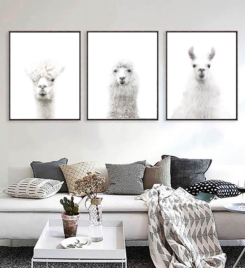 Set of 3 White Lama Alpaca Print Nursery Animal Decor Wall - Etsy