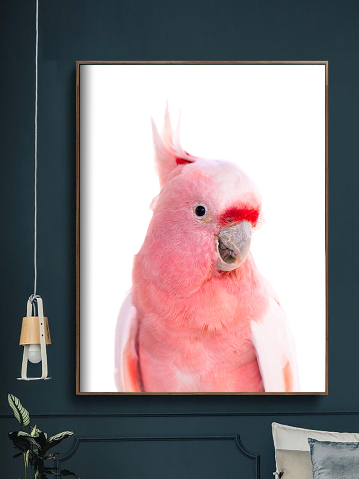 Pink Cockatoo Australian Bird Cockatoo Bird Digital | Etsy